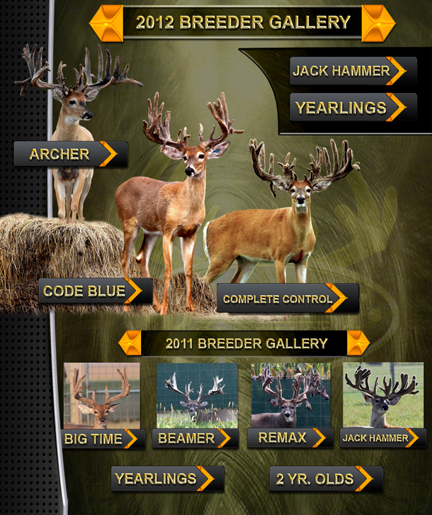 DOMINANT GENETICS - Breeding Large Framed Whitetail Deer